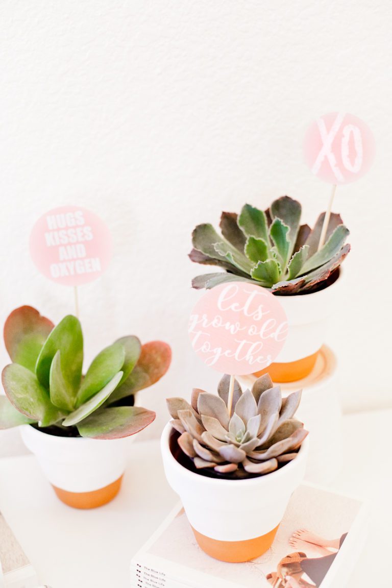 DIY Painted Planter + Free Valentine's Day Printable - Fresh Mommy Blog