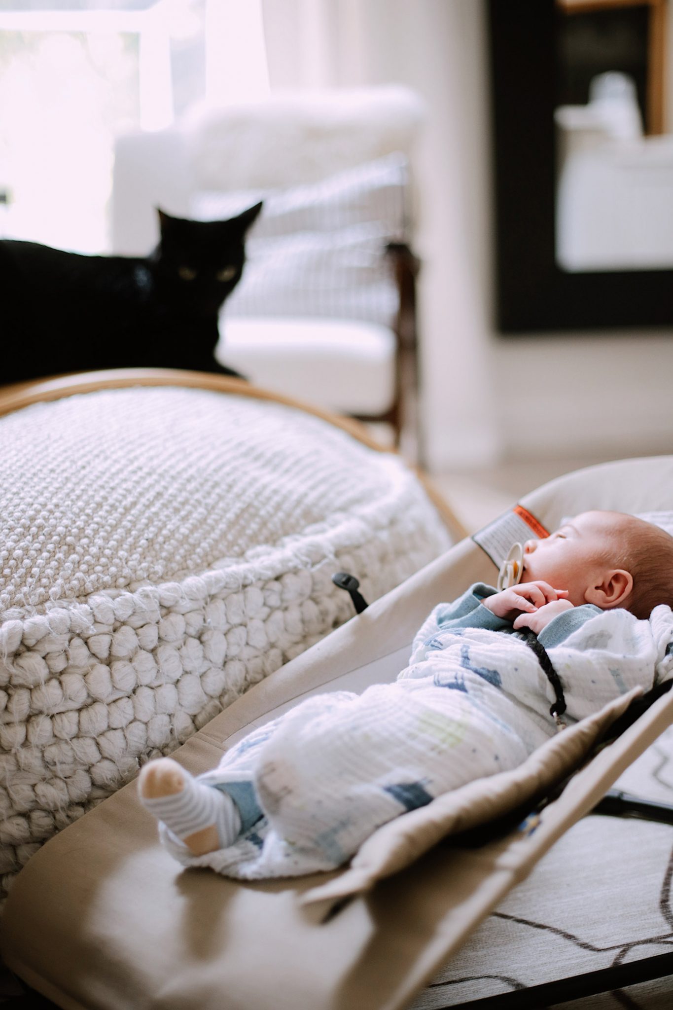 What You Don’t Know About Cats and Newborns Living Together - Fresh ...