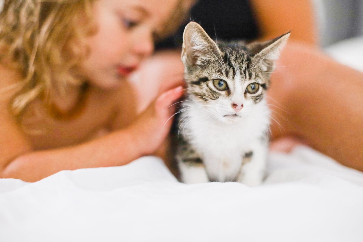 Teaching Your Cat Kid How to Take Care of Pets - Fresh Mommy Blog