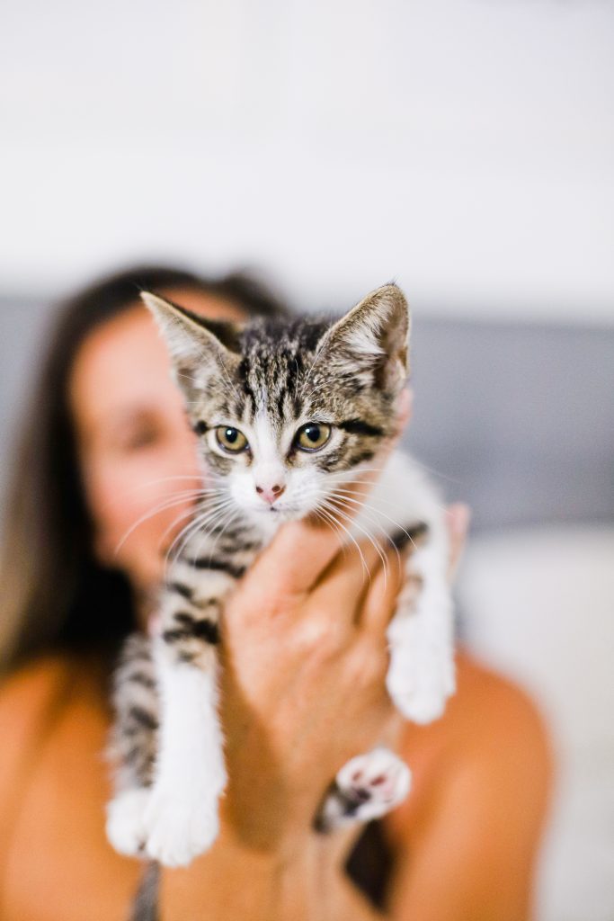 Teaching Your Cat Kid How to Take Care of Pets - Fresh Mommy Blog