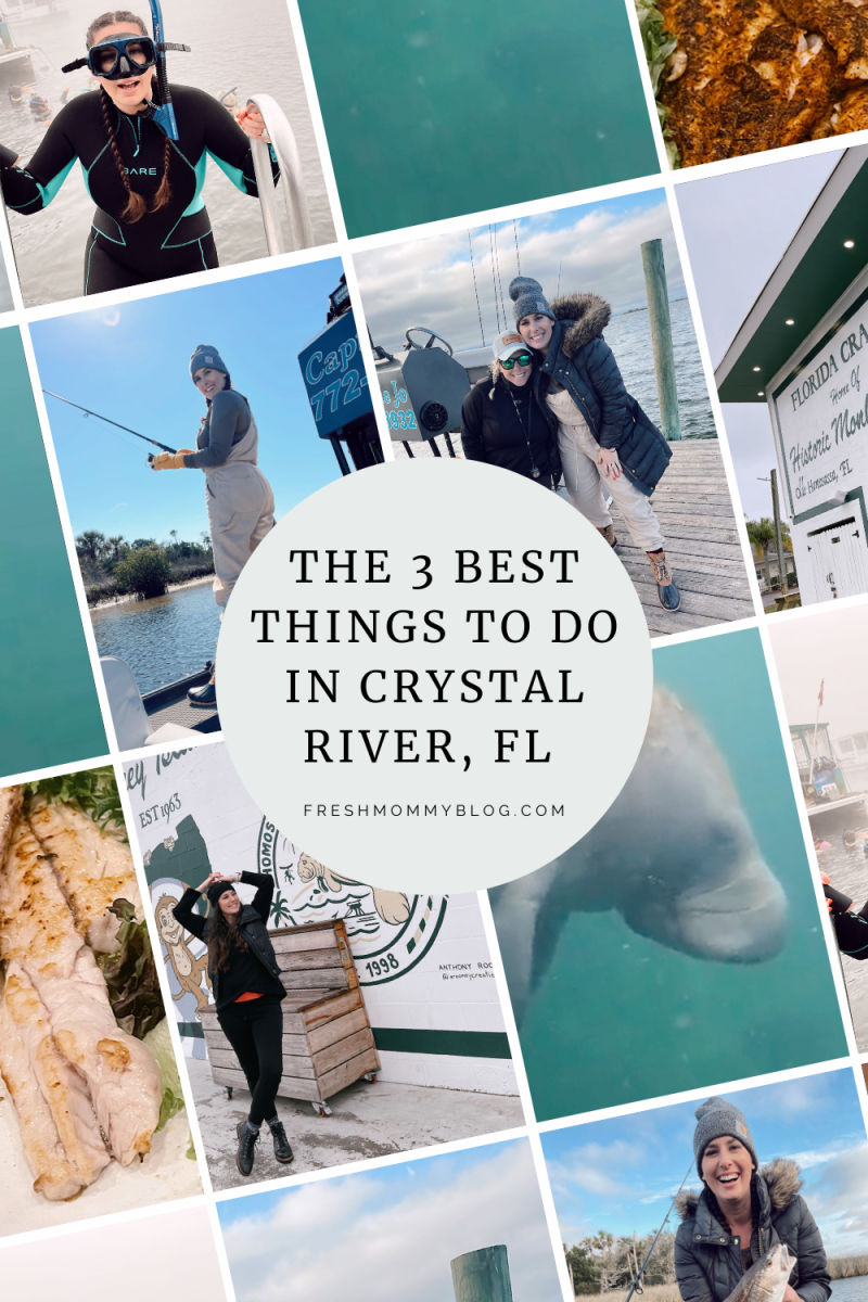 3 Best Things to Do in Crystal River FL - Fresh Mommy Blog