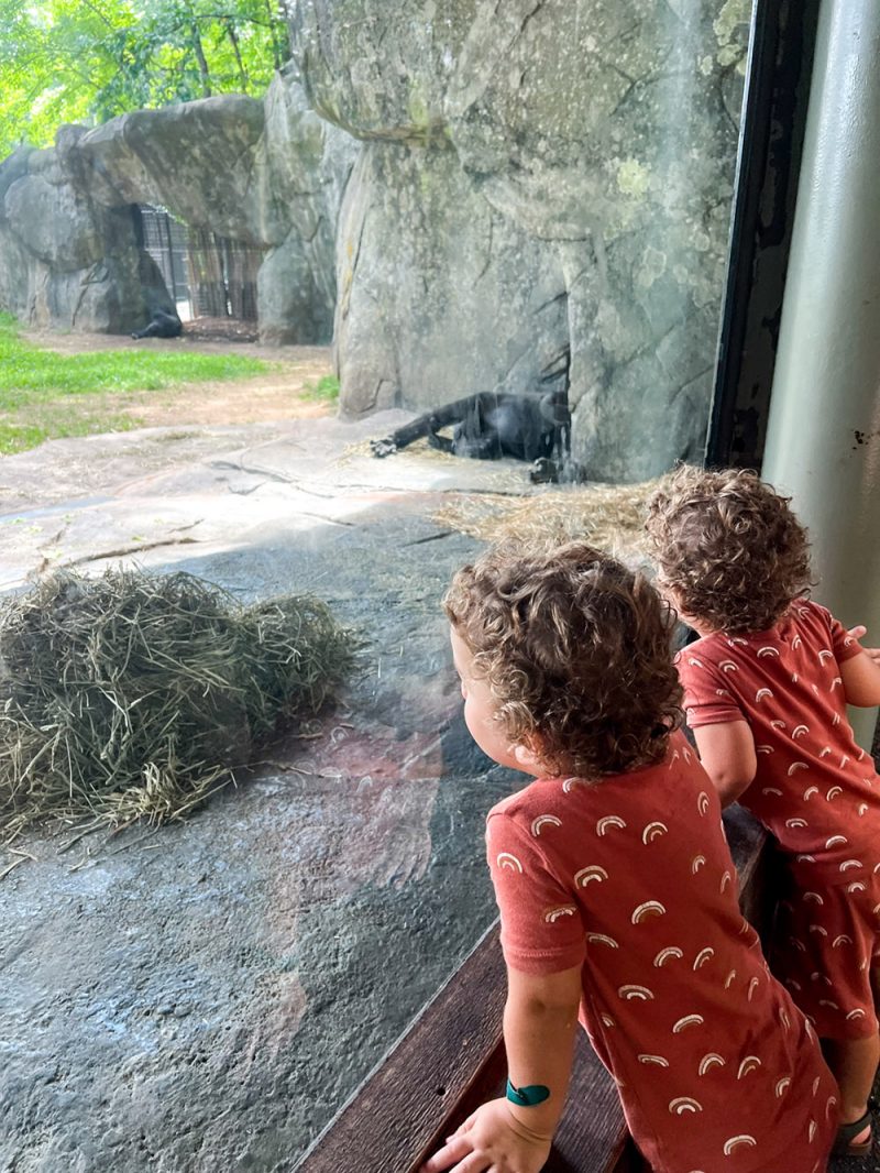 Exploring the North Carolina Triad Area – Our Epic 3-day Itinerary ...