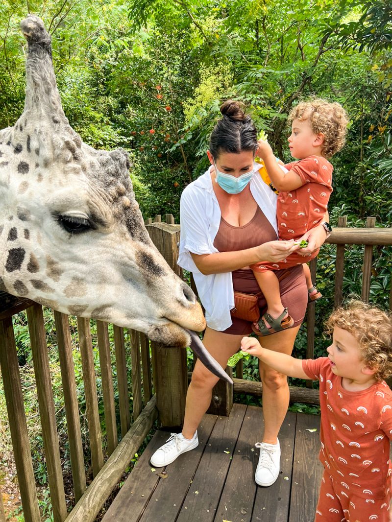 Exploring the North Carolina Triad Area – Our Epic 3-day Itinerary ...