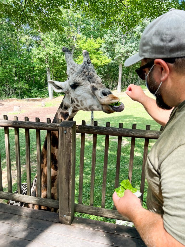 Exploring the North Carolina Triad Area – Our Epic 3-day Itinerary ...