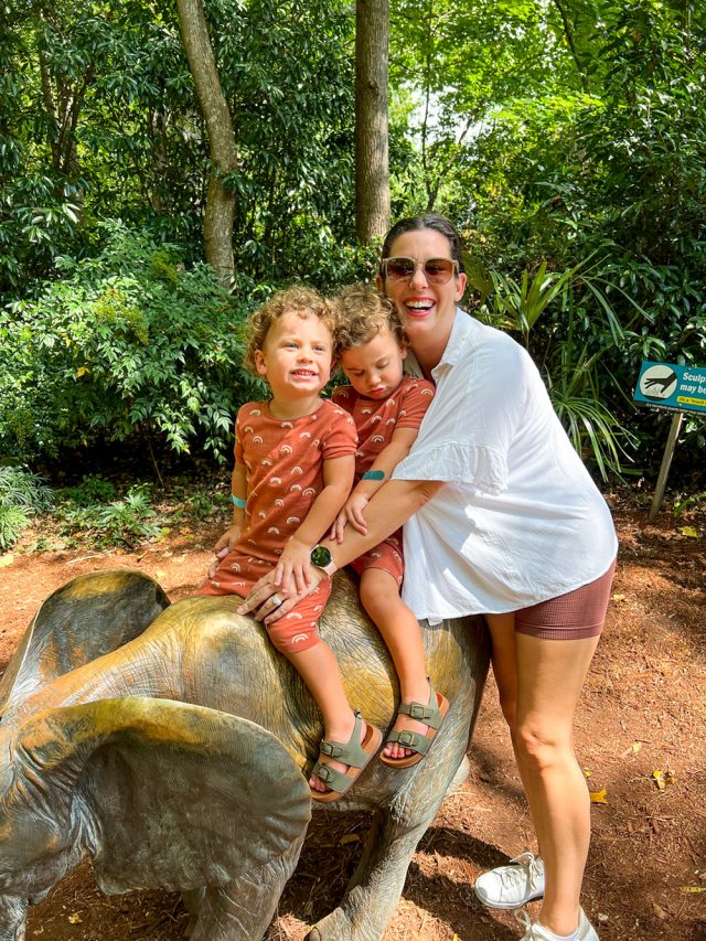 Exploring the North Carolina Triad Area – Our Epic 3-day Itinerary ...