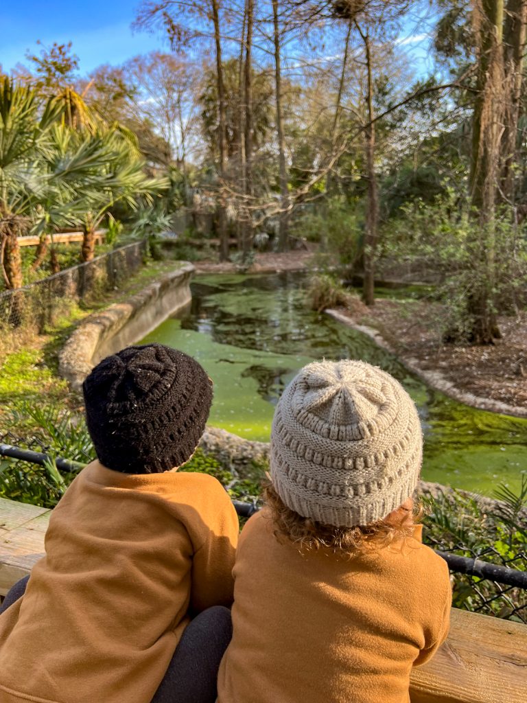 How to Have the Best Time at ZooTampa - Fresh Mommy Blog