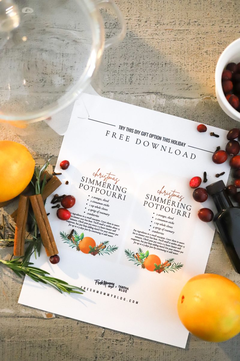 DIY Christmas Simmer Pot Gift Idea + Free Download - Fresh Mommy Blog