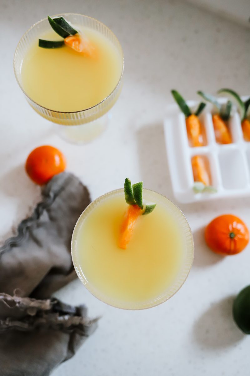 Make Your Own Carrot Ice Cubes for Easter Mimosas! - Fresh Mommy Blog