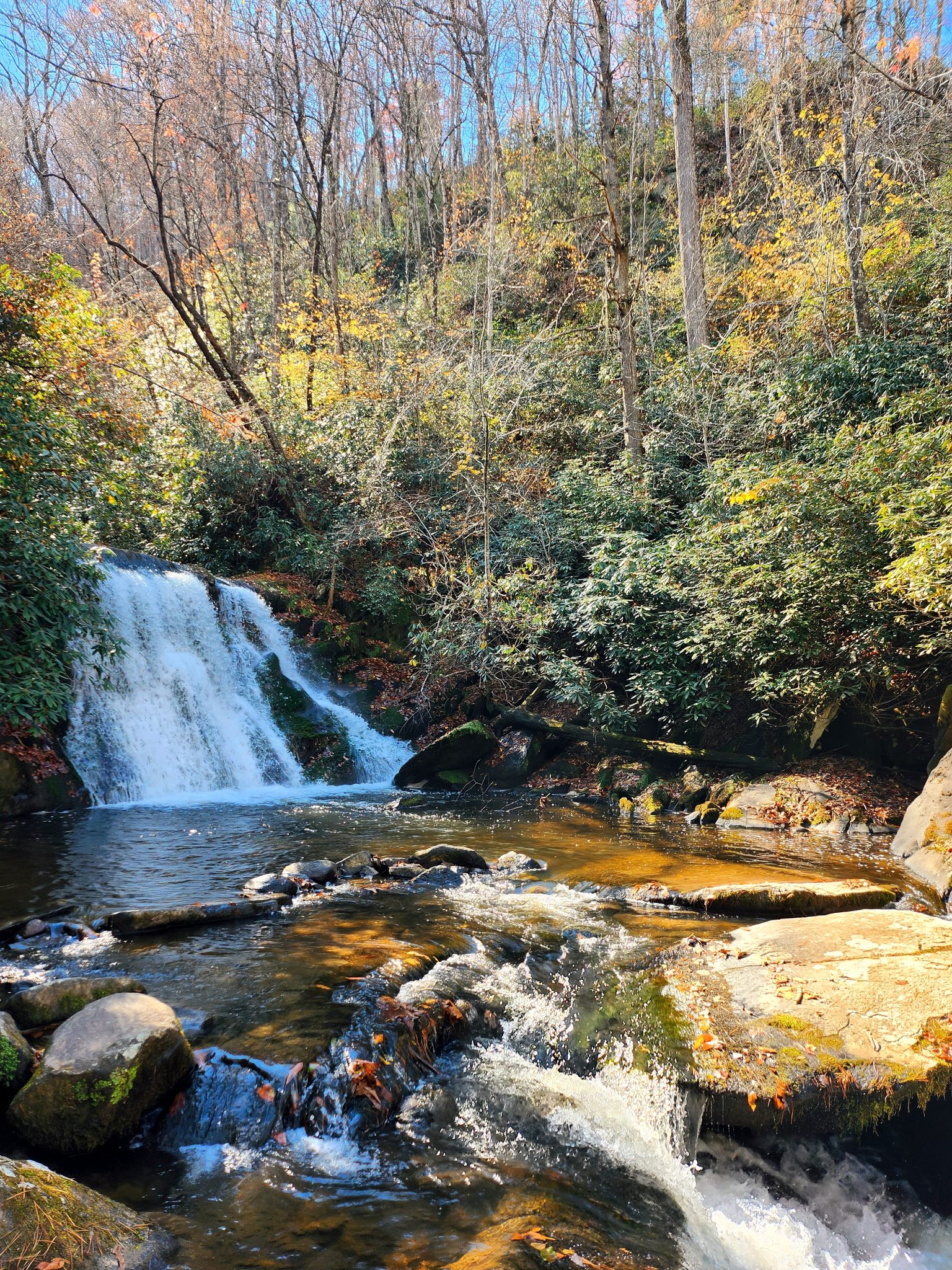 Fall Leaf Art Crafts For Kids and Must-See Hikes in Western NC