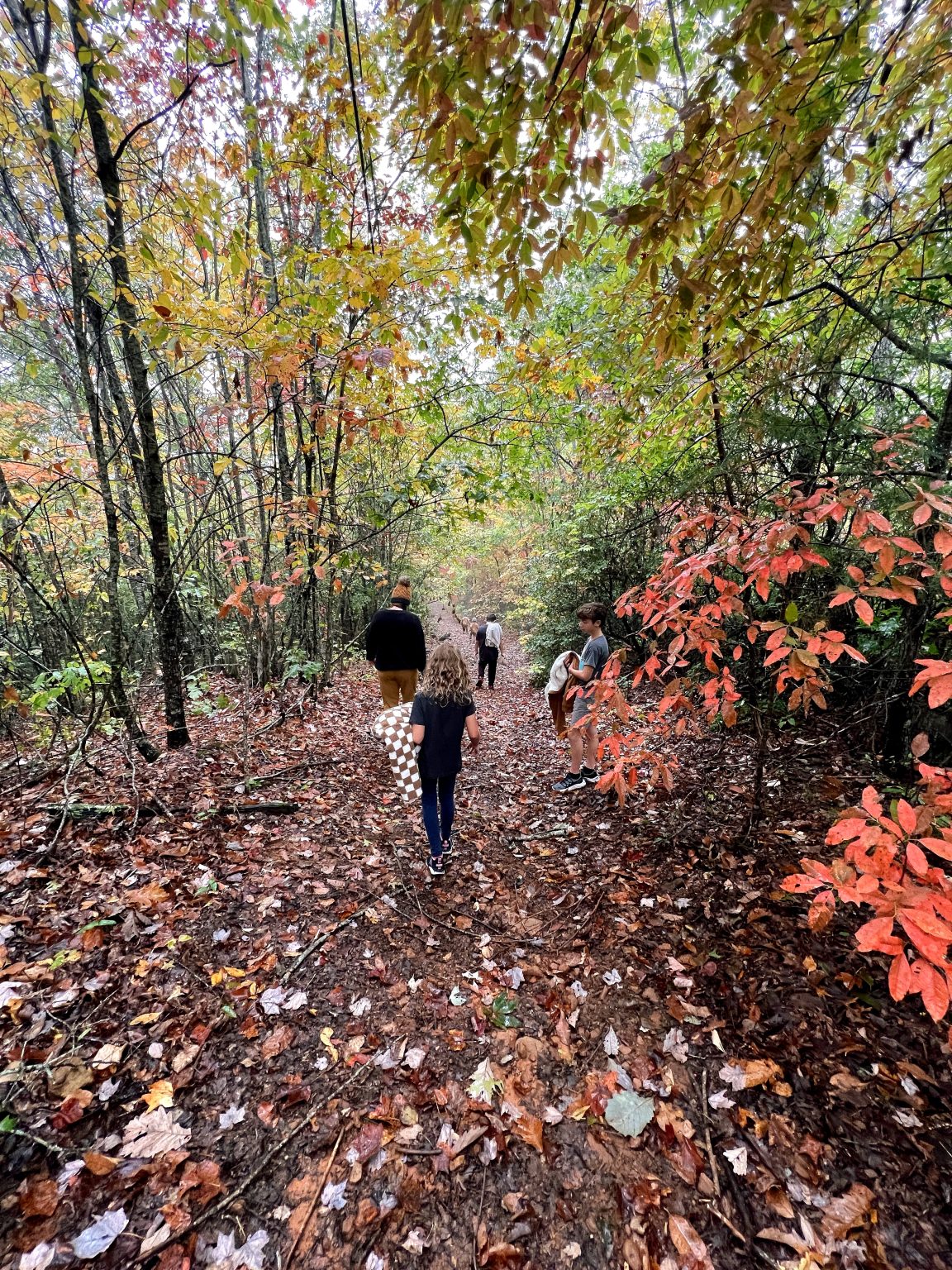 Fall Leaf Art Crafts For Kids and Must-See Hikes in Western NC